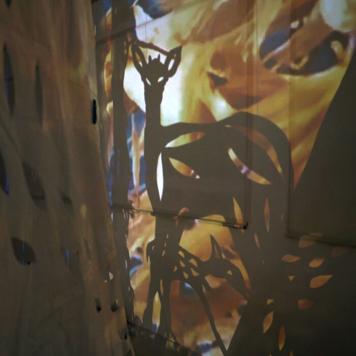 Solastalgia & Windows and Mosaic of Leaves - Salzkammergut 2024