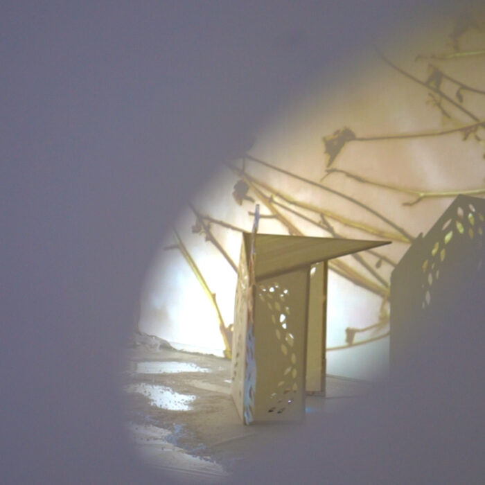 Solastalgia & Windows and Mosaic of Leaves - Salzkammergut 2024