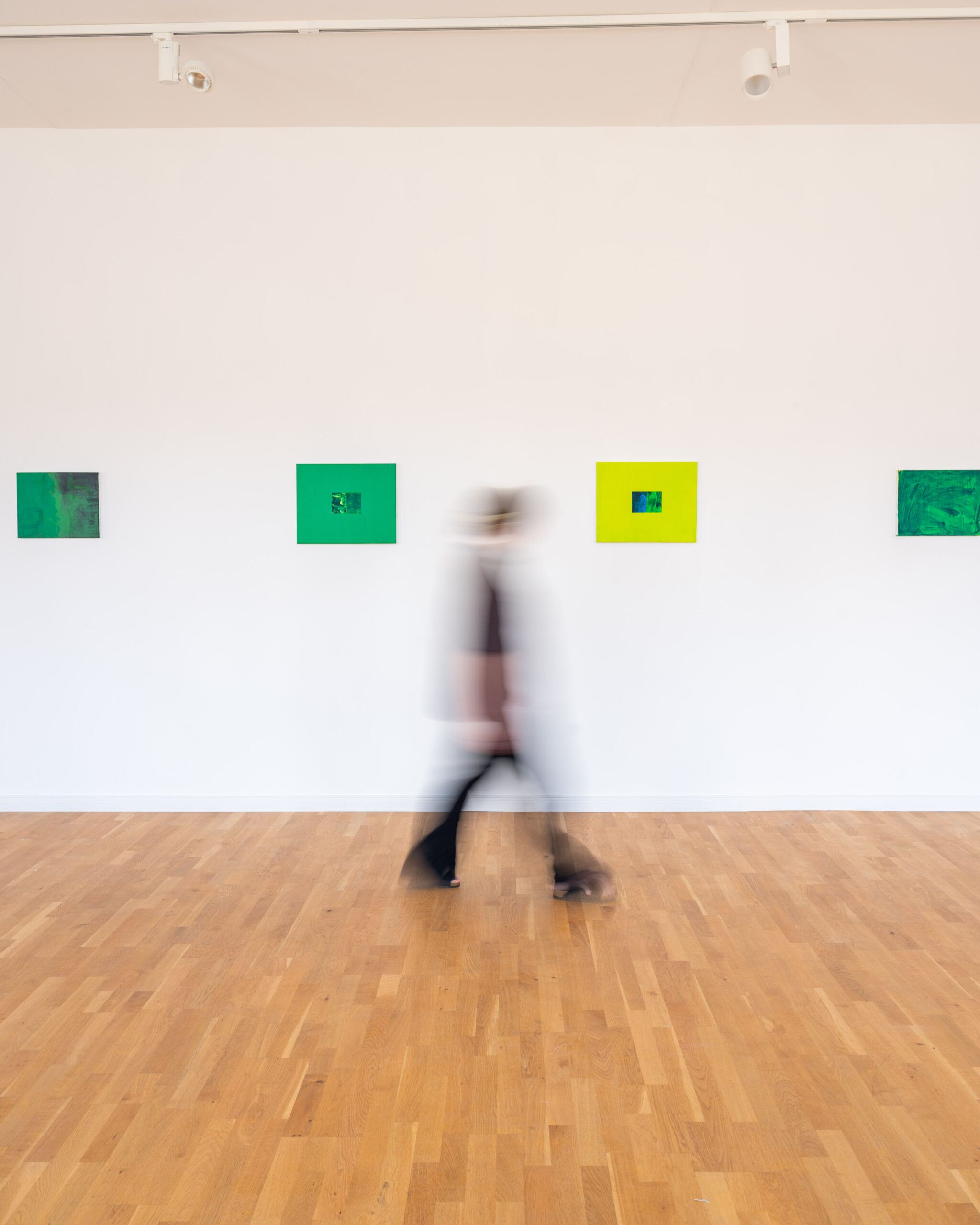 #000000 (Schwarz) - #FFD700 (Gold) - #228B22 (Waldgrün) - Salzkammergut ...