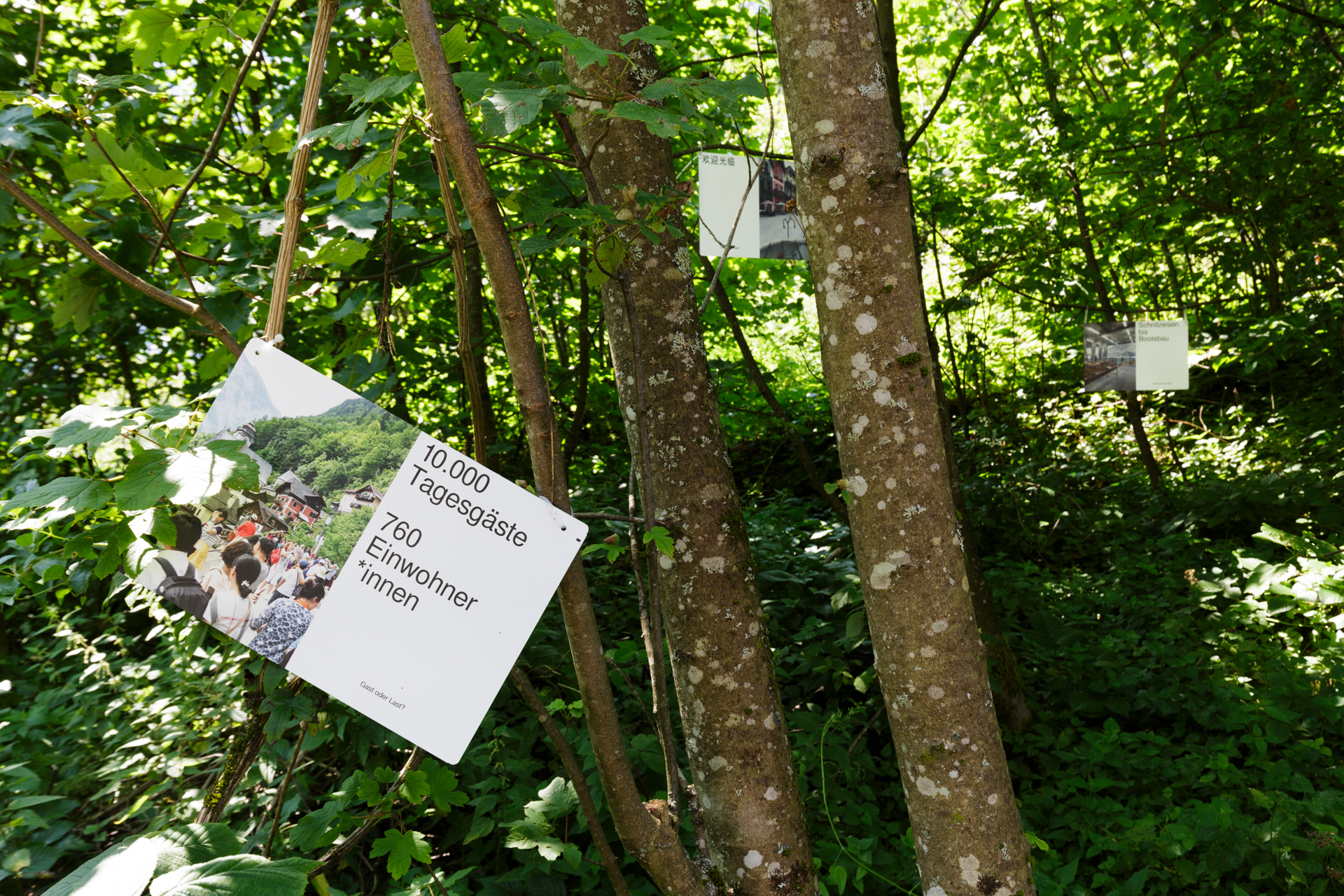 Hallstatt Think Lab 2024 - Salzkammergut 2024